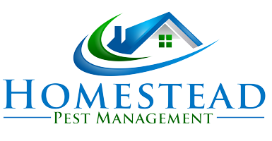 Homestead Pest Management Is Now a Lookout Pest Control Partner