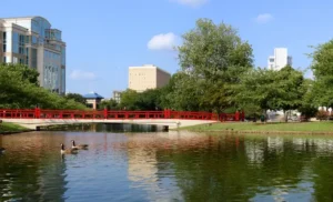 Pest Control in Charlotte NC | Experienced Local Exterminators